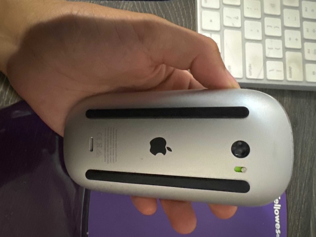 Apple Mouse Not Working No Light: Troubleshooting Tips - Mouse RGB