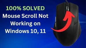 Fix Mouse Scroll Not Working Windows 10: Troubleshooting Tips - Mouse RGB